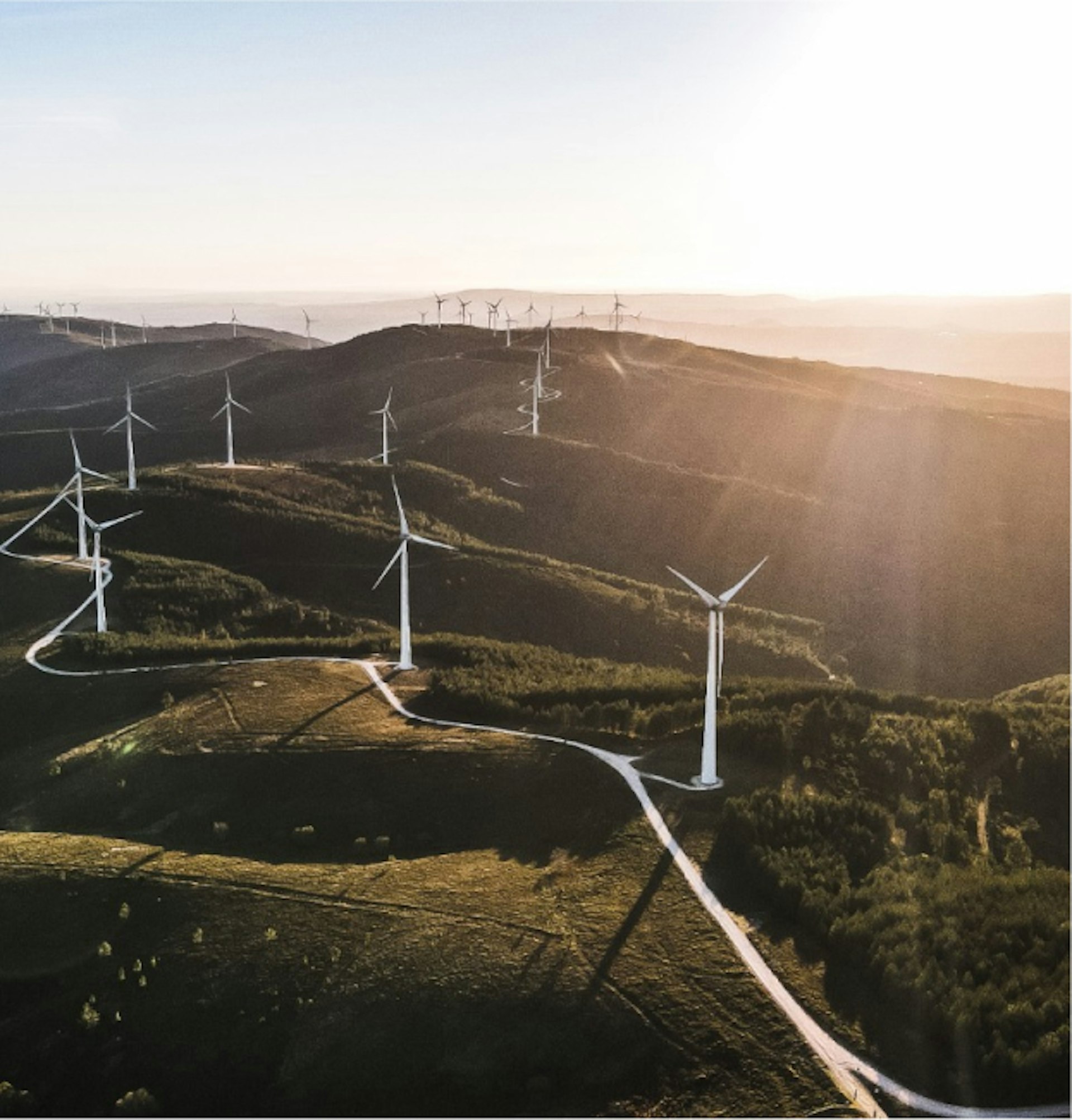 Renewable energy sector focus | Wilson Power Solutions