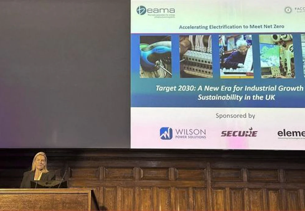 Erika Wilson Becomes BEAMA’s First Female President | Wilson Power ...